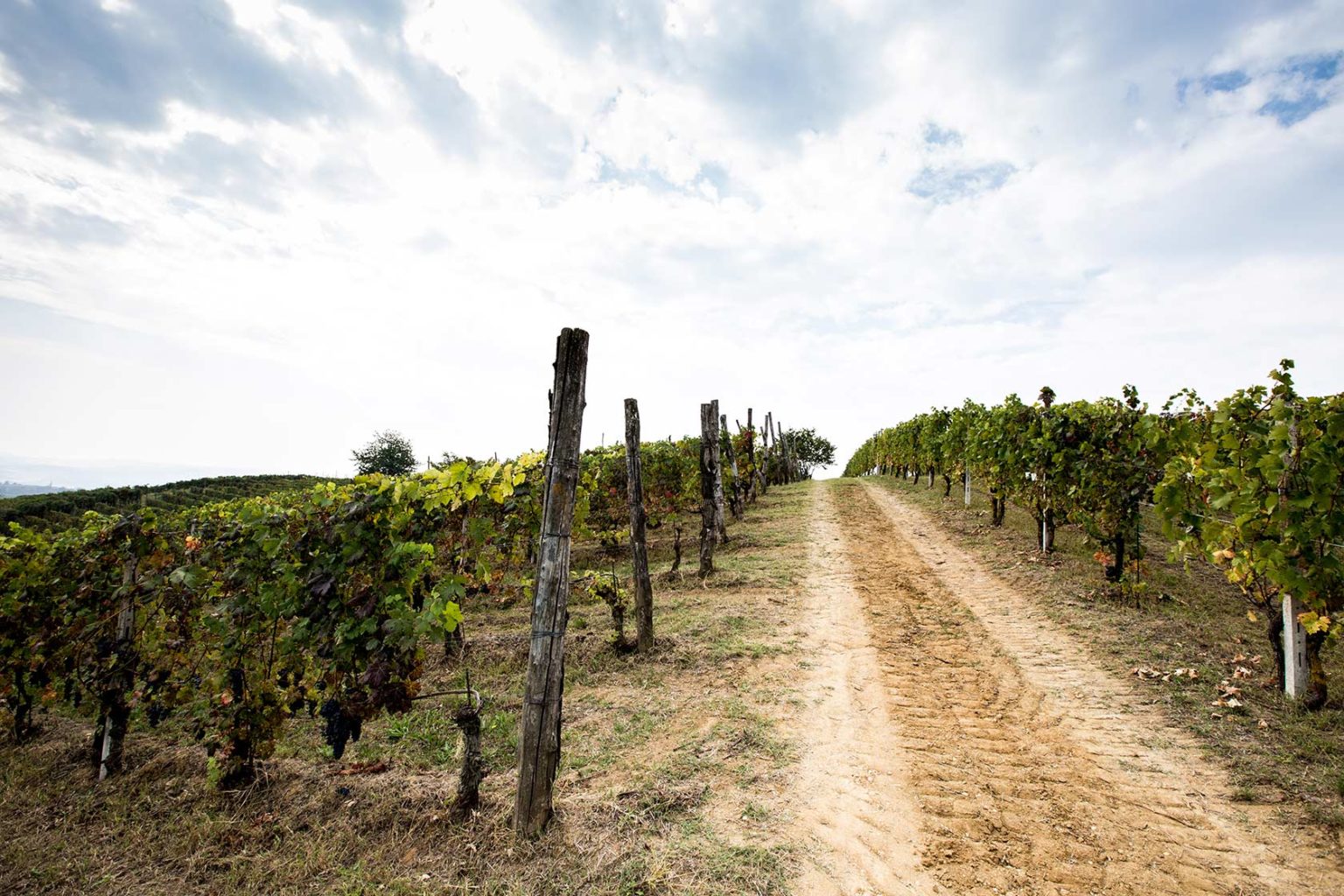 Vaglio Serra • Vinchio Vaglio