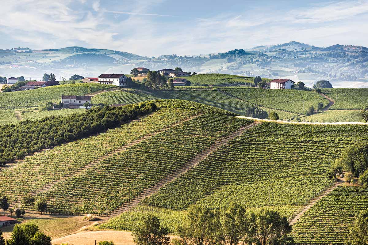 Monferrato: un territorio inebriante! • Vinchio Vaglio
