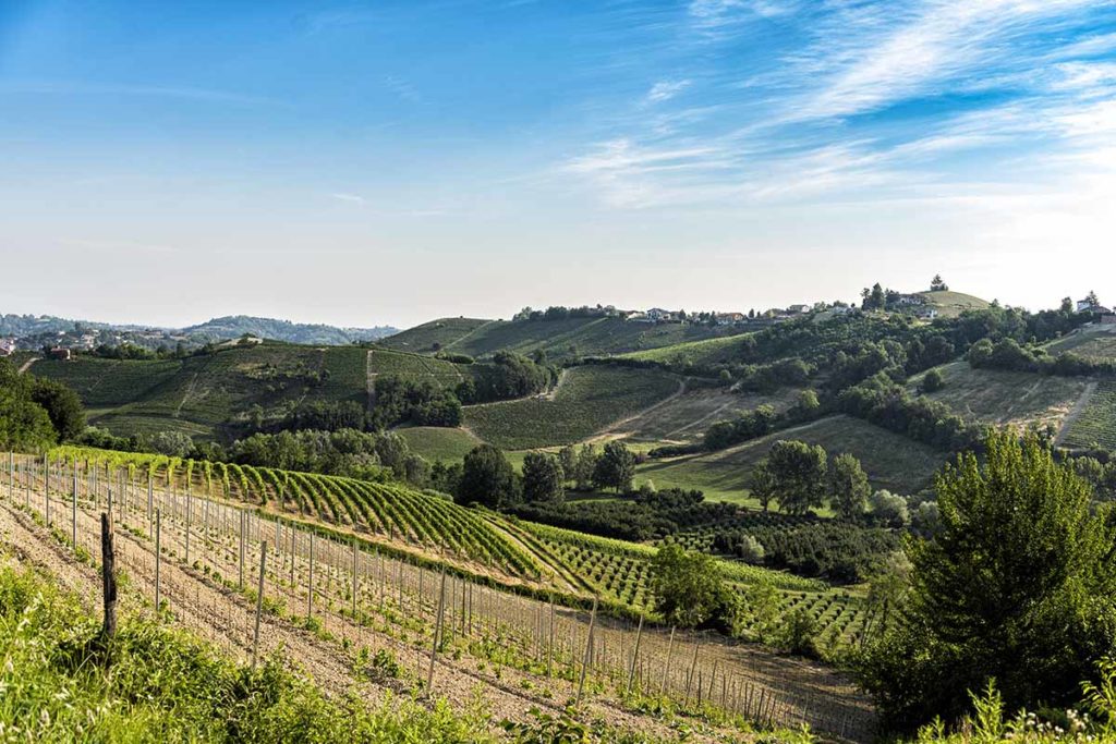 Monferrato: un territorio inebriante! • Vinchio Vaglio