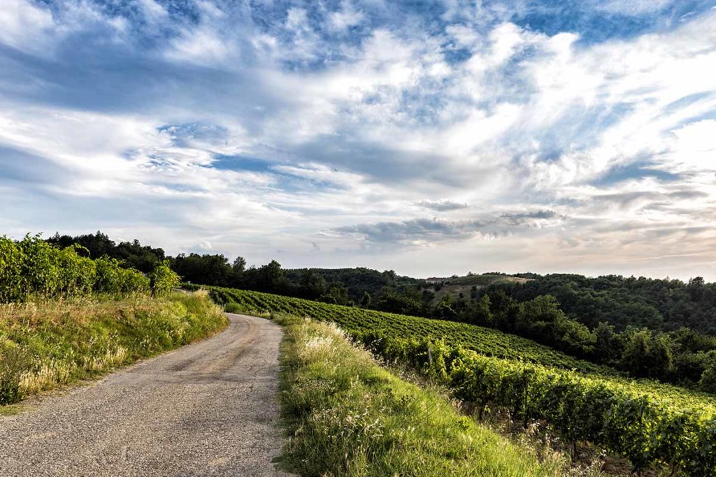 Monferrato: un territorio inebriante! • Vinchio Vaglio