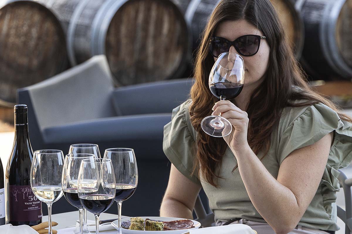 Dalla vigna al bicchiere: come nasce la migliore Barbera • Vinchio Vaglio