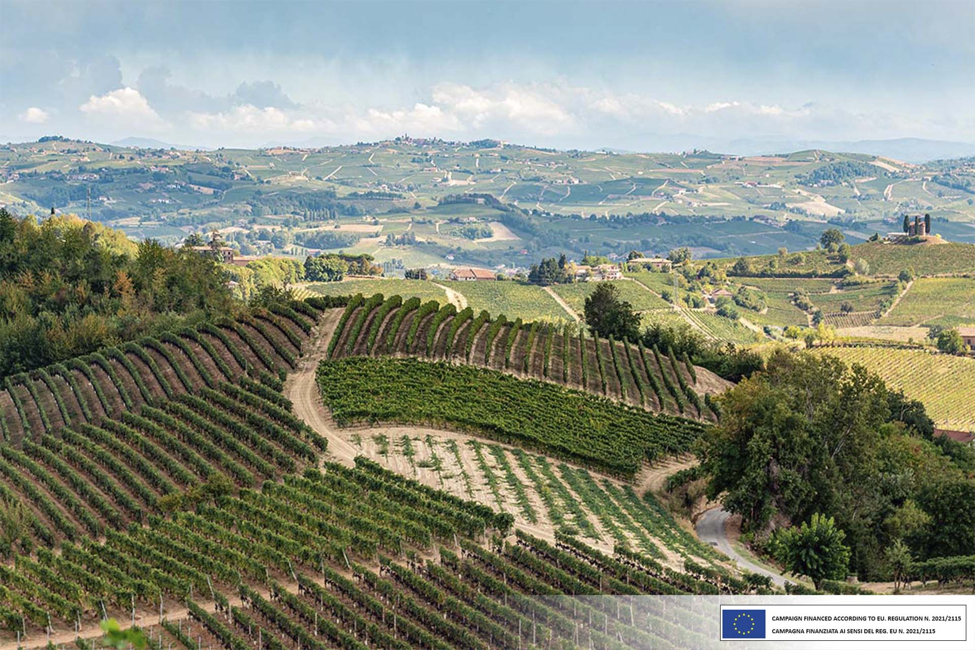 Vinchio Vaglio: il nido della Barbera